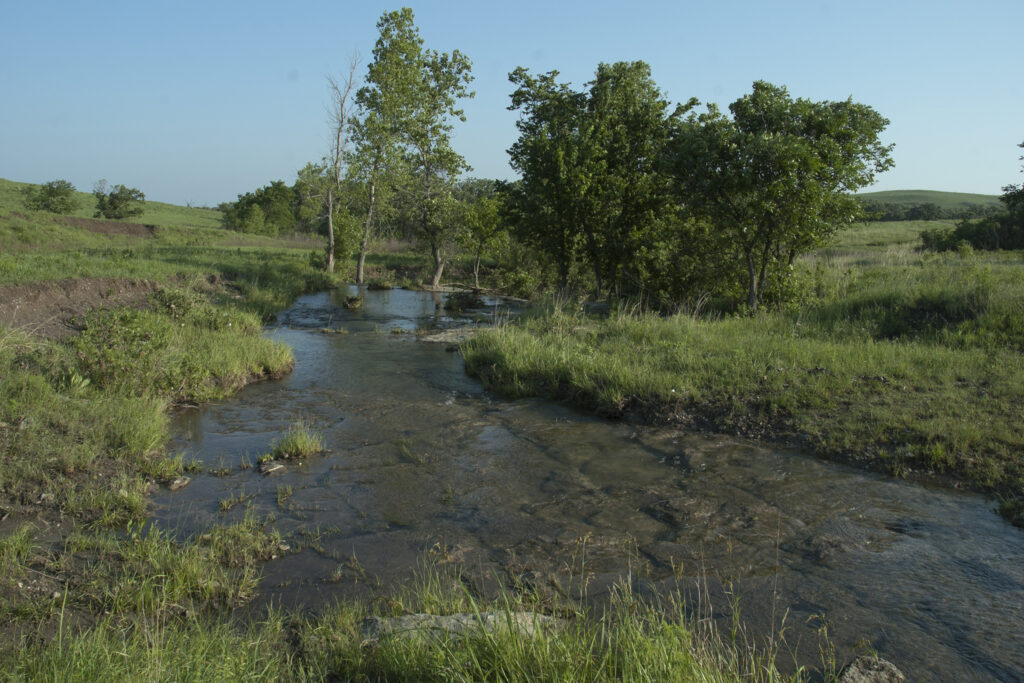 MLI Committees - Midwest Landscape Initiative